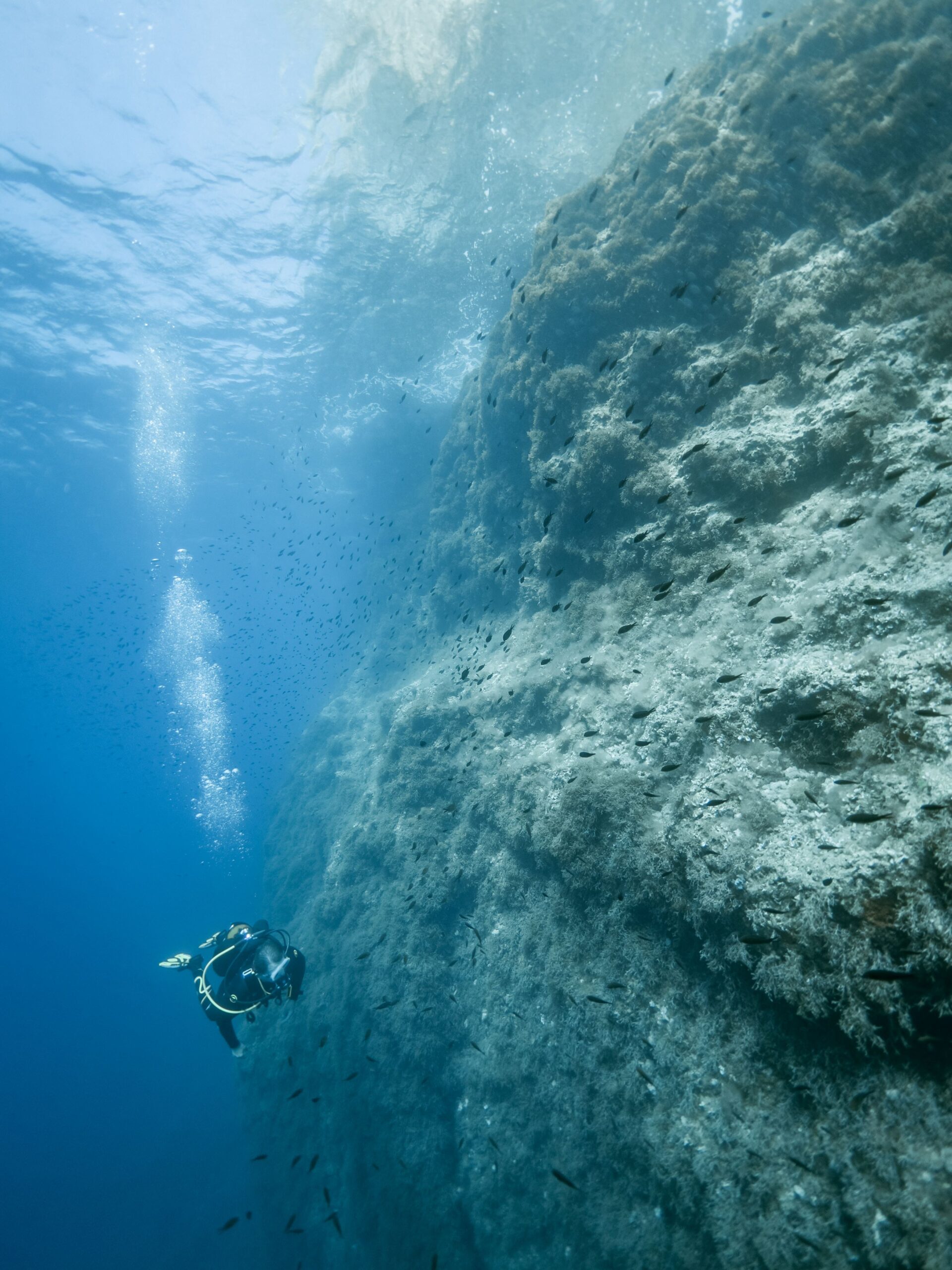 Il Mara Reef - DiveBoat.mt