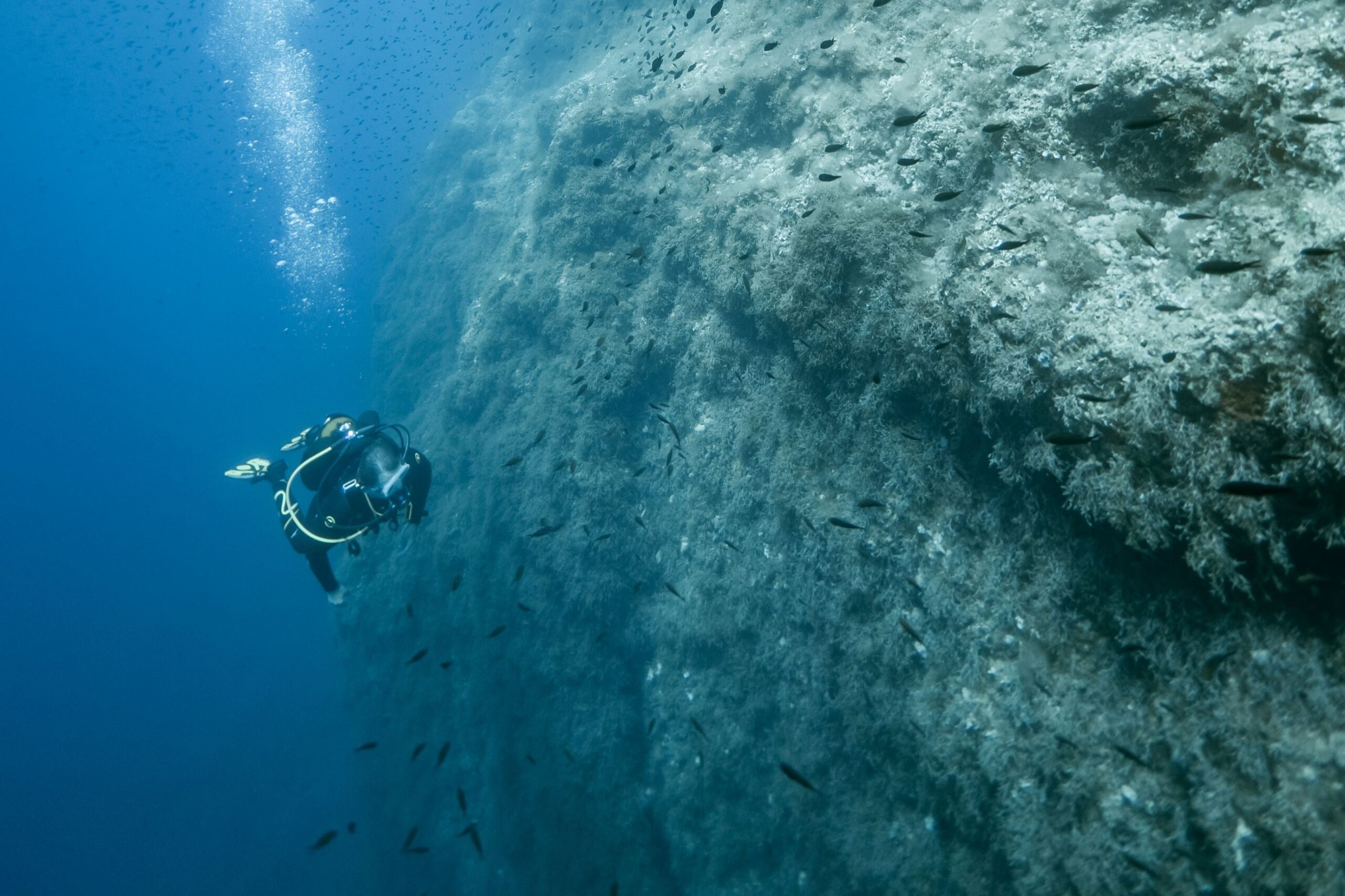 Il Mara Reef - DiveBoat.mt