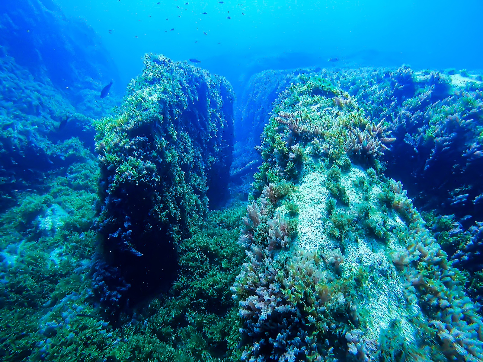 Benghisa Rock - DiveBoat.mt